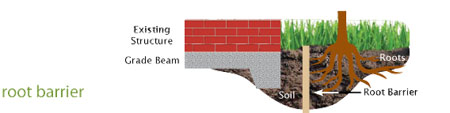 Root Barriers - Root Barriers | Moisture Barriers | Vapor Barriers